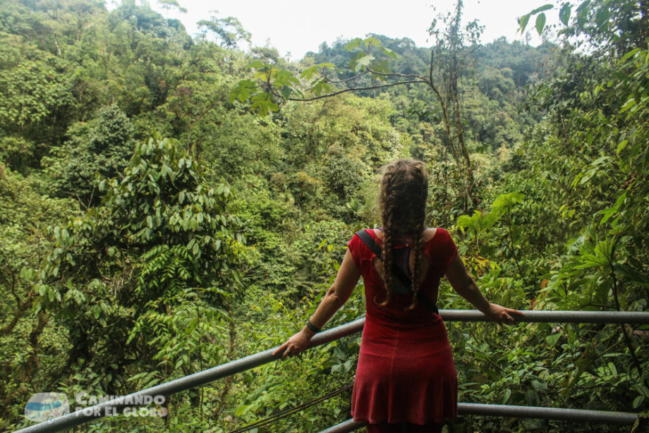 Mindo: que ver y hacer, opciones para todos los presupuestos