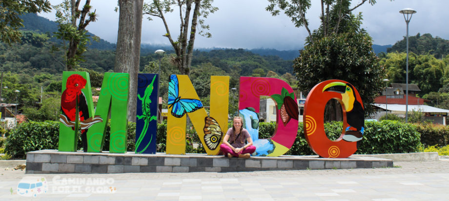 Mindo: que ver y hacer, opciones para todos los presupuestos