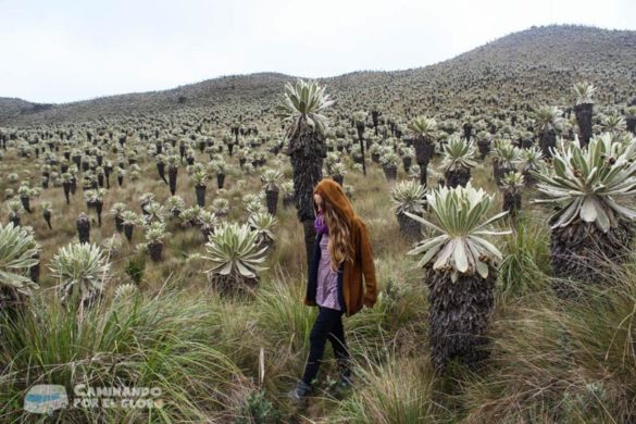 reserva el angel Archivos - Caminando por el Globo